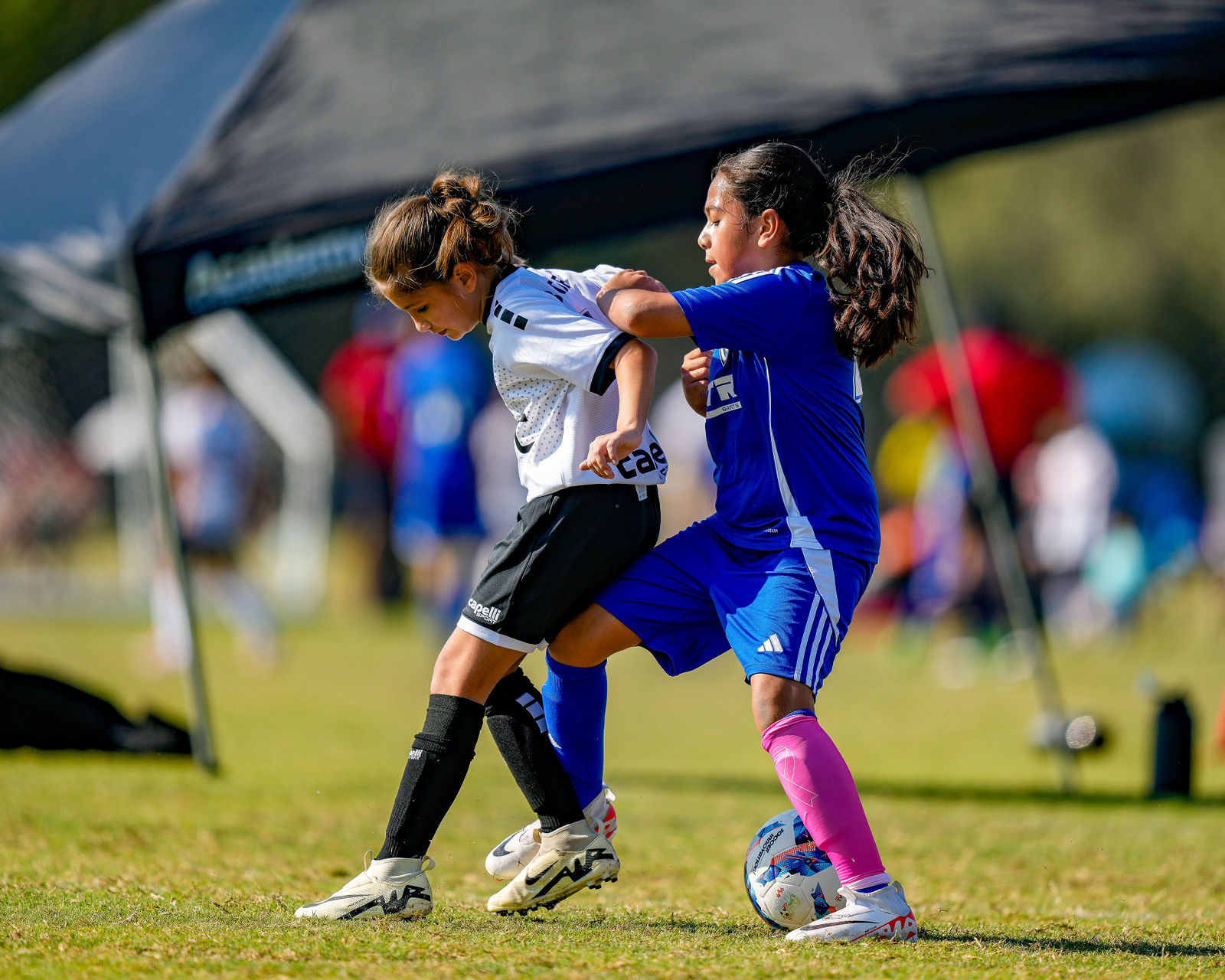 2015 Sting Ramirez by Break Neck Photography