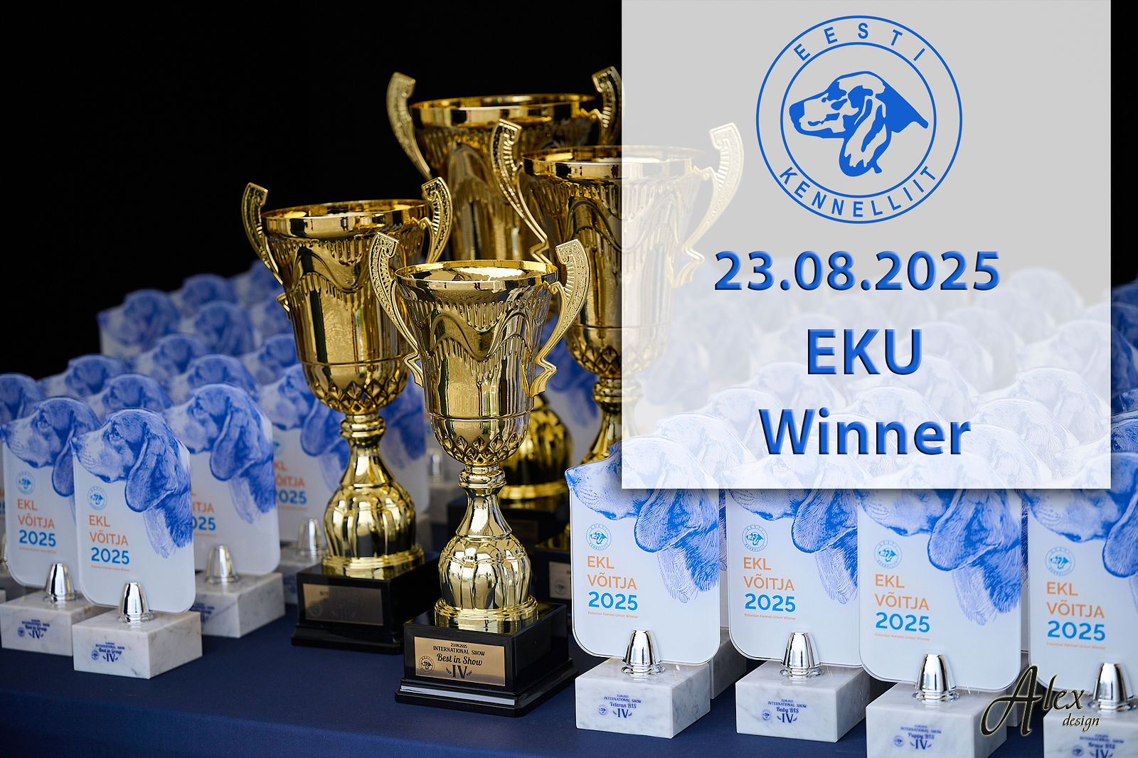 2025-08-23 EKU Winner BIS by SIA AXD Group