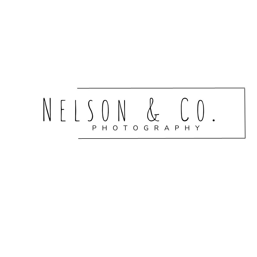 Nelson & Co. Introduction by Ashlie Ballou Photography