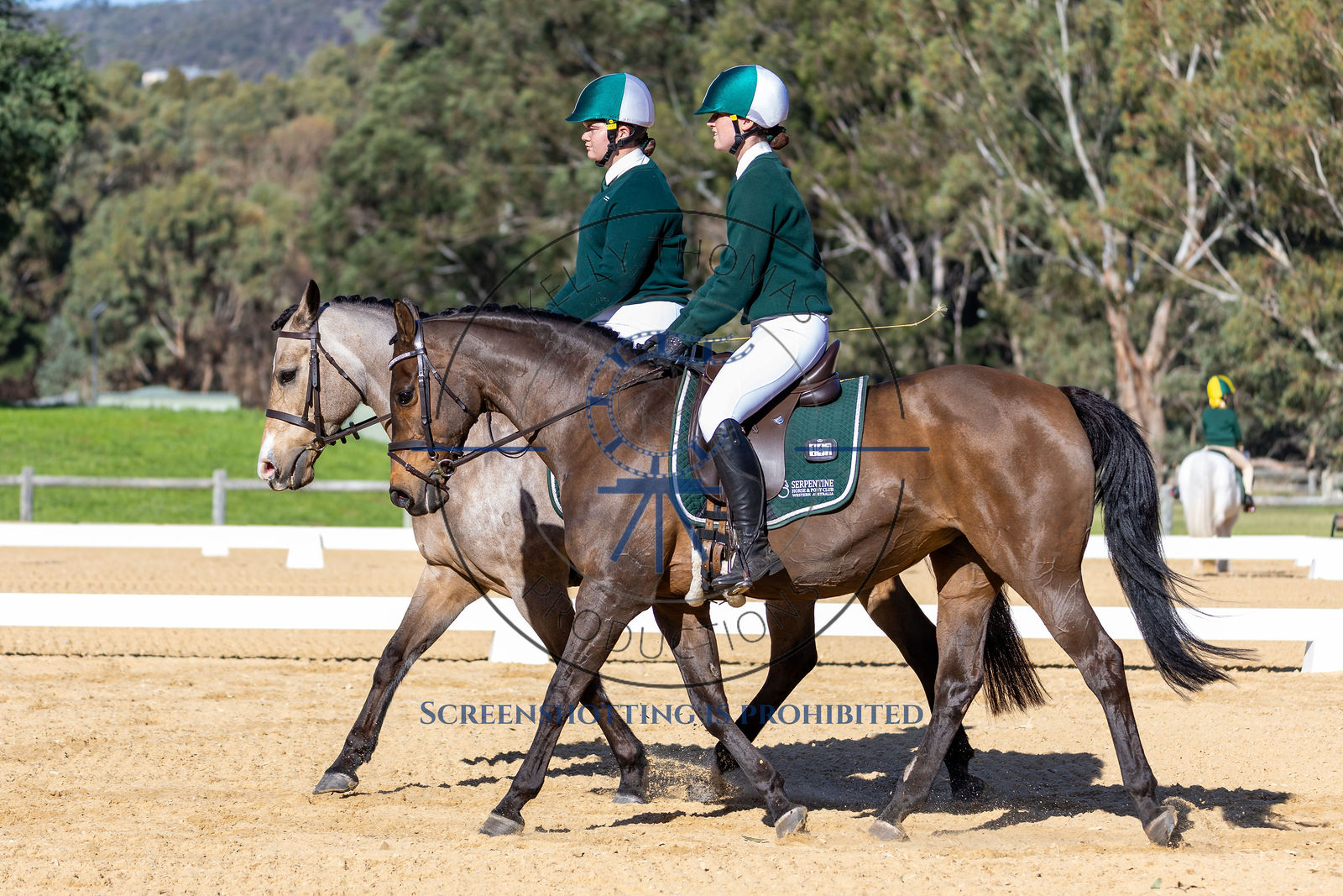 2025 Pony Club WA Acton Belle State Dressage (11-13th July) by Kelly ...