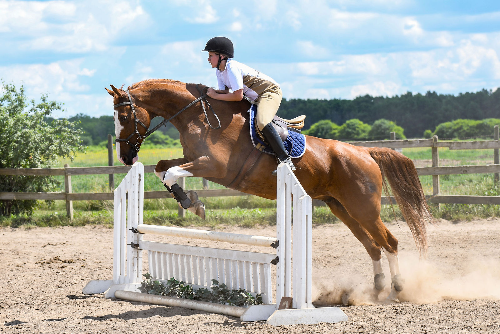 Leg Up Stables June Jumper Show by Jordan Testa Photography