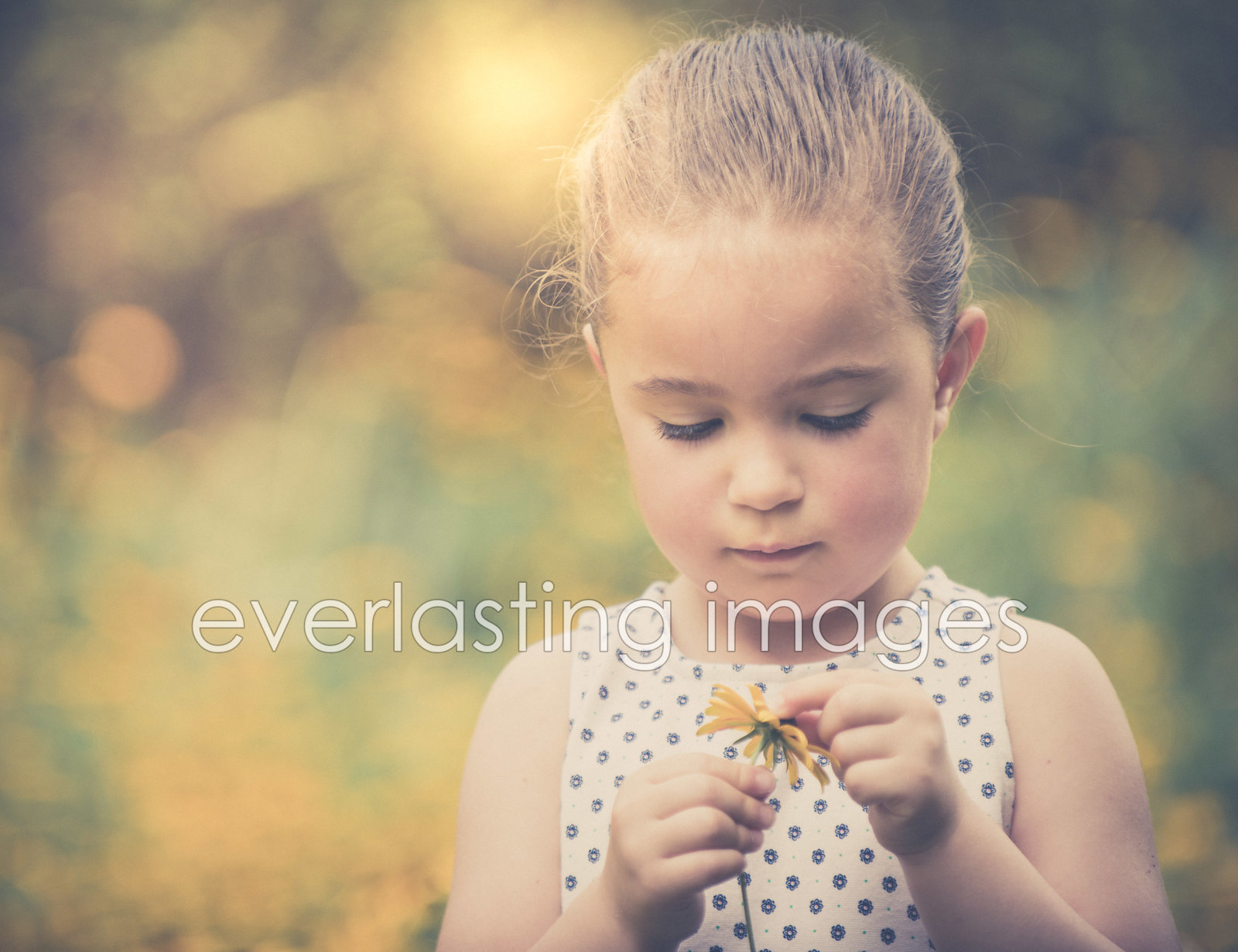 Madeline by Everlasting Images