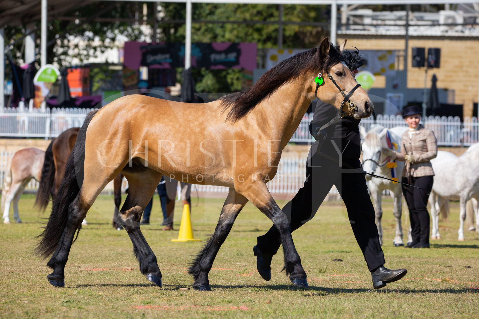 Perth Royal Show - TUESDAY by Christie Lyn Photography