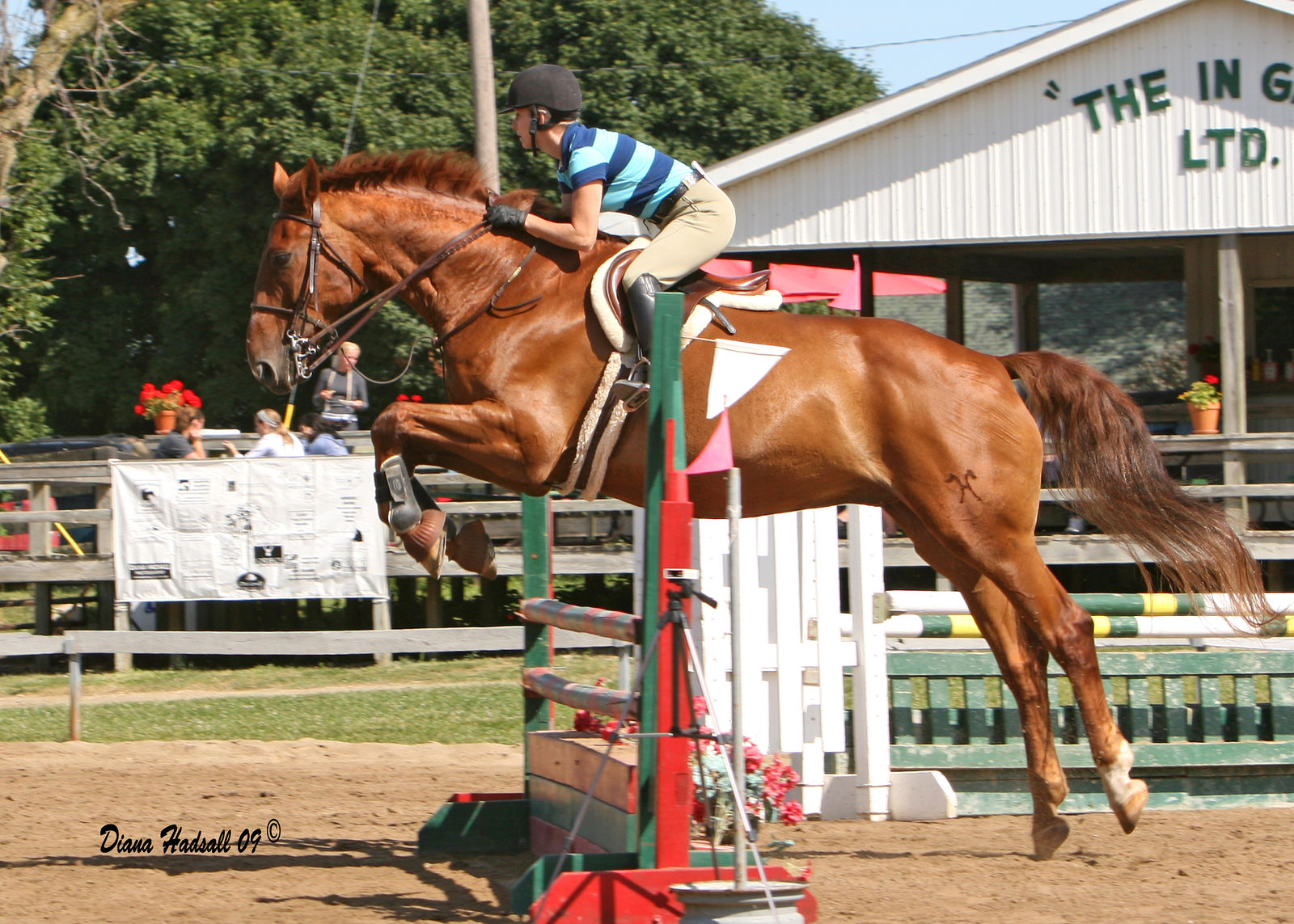WIN A GIN B 2009 by Diana Hadsall Photography
