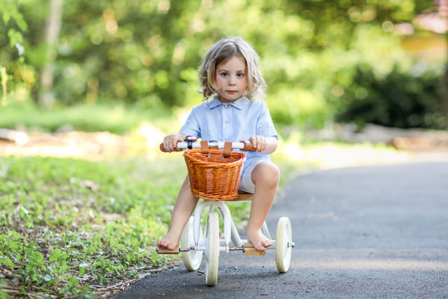 Malky Parnes Photography Clients - Malky Parnes Photography Images That ...