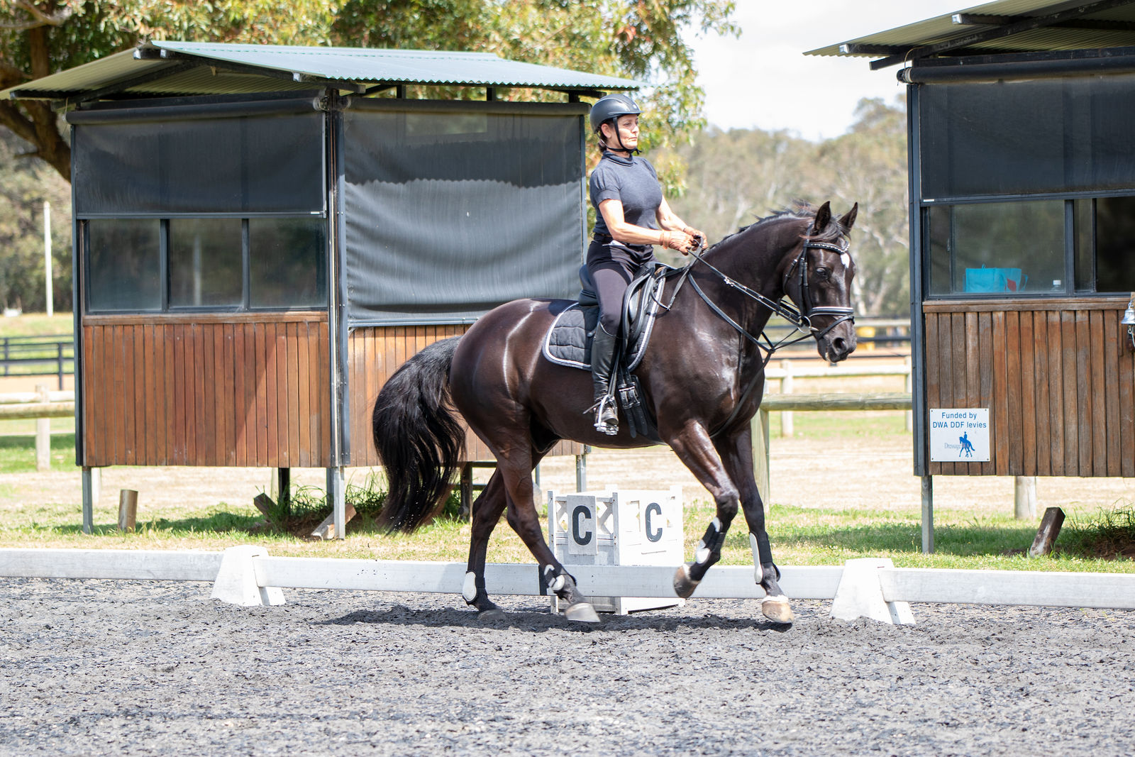 Dwight Pedlow- 26th October 2022 by Kelly Thomas Productions