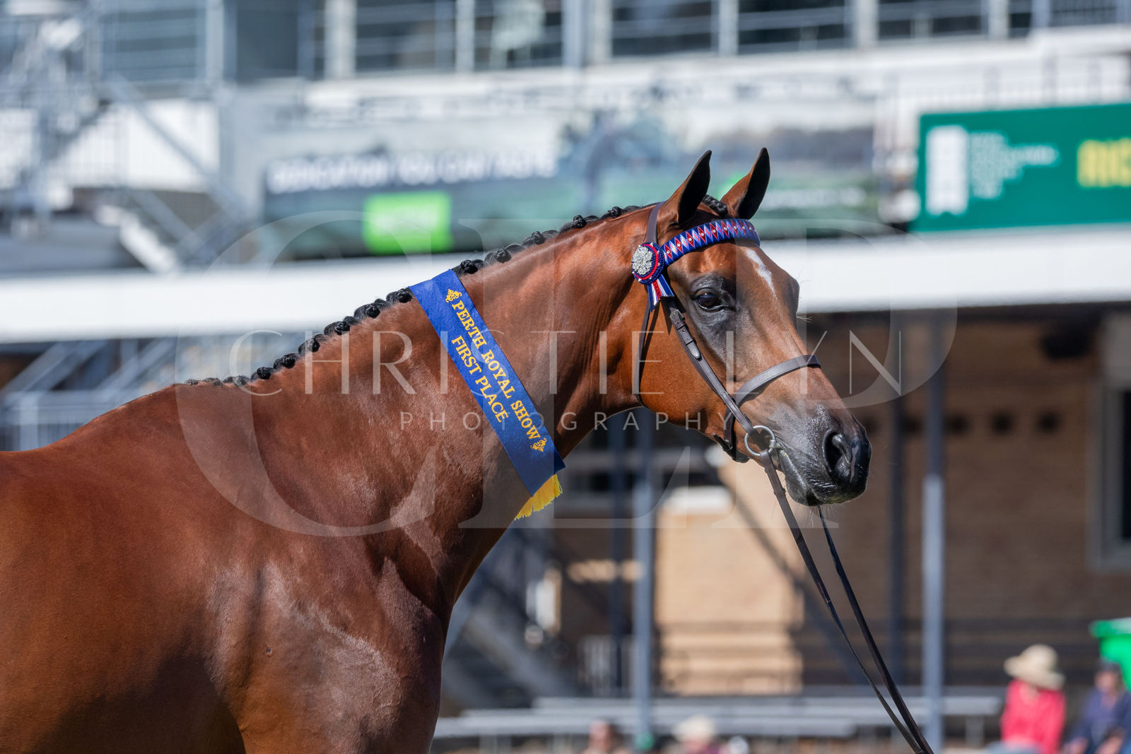 PERTH ROYAL - MONDAY 23RD by Christie Lyn Photography