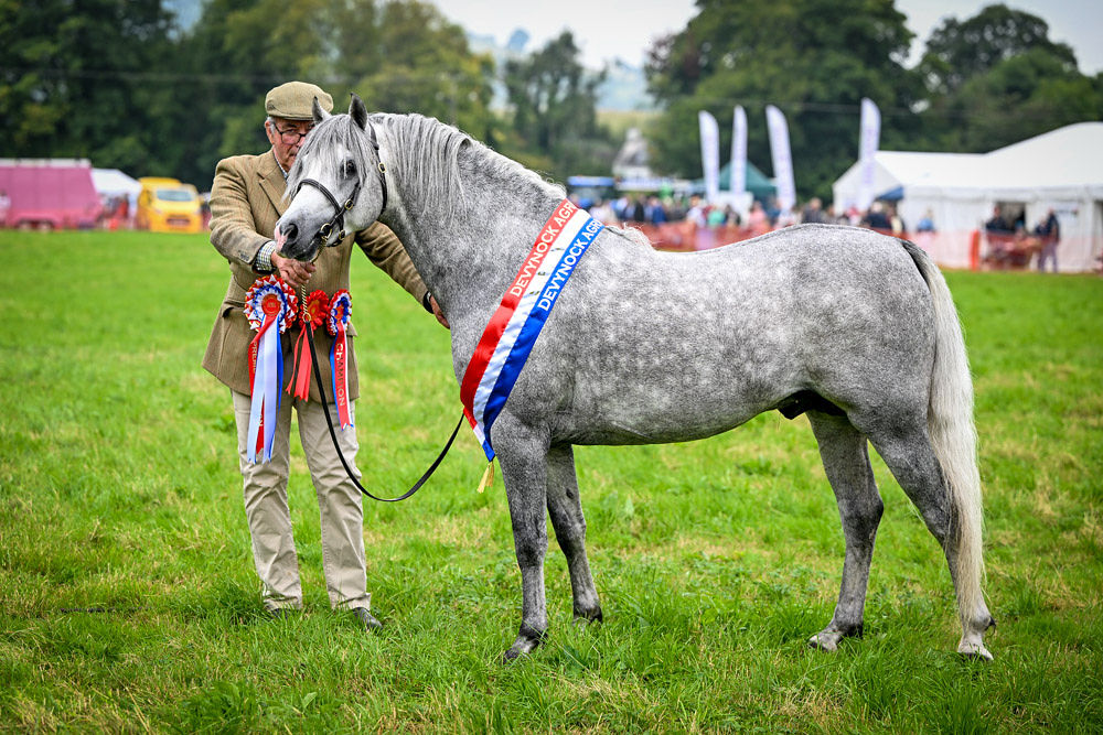 Sennybridge Show 2024 by EquinePix Photography