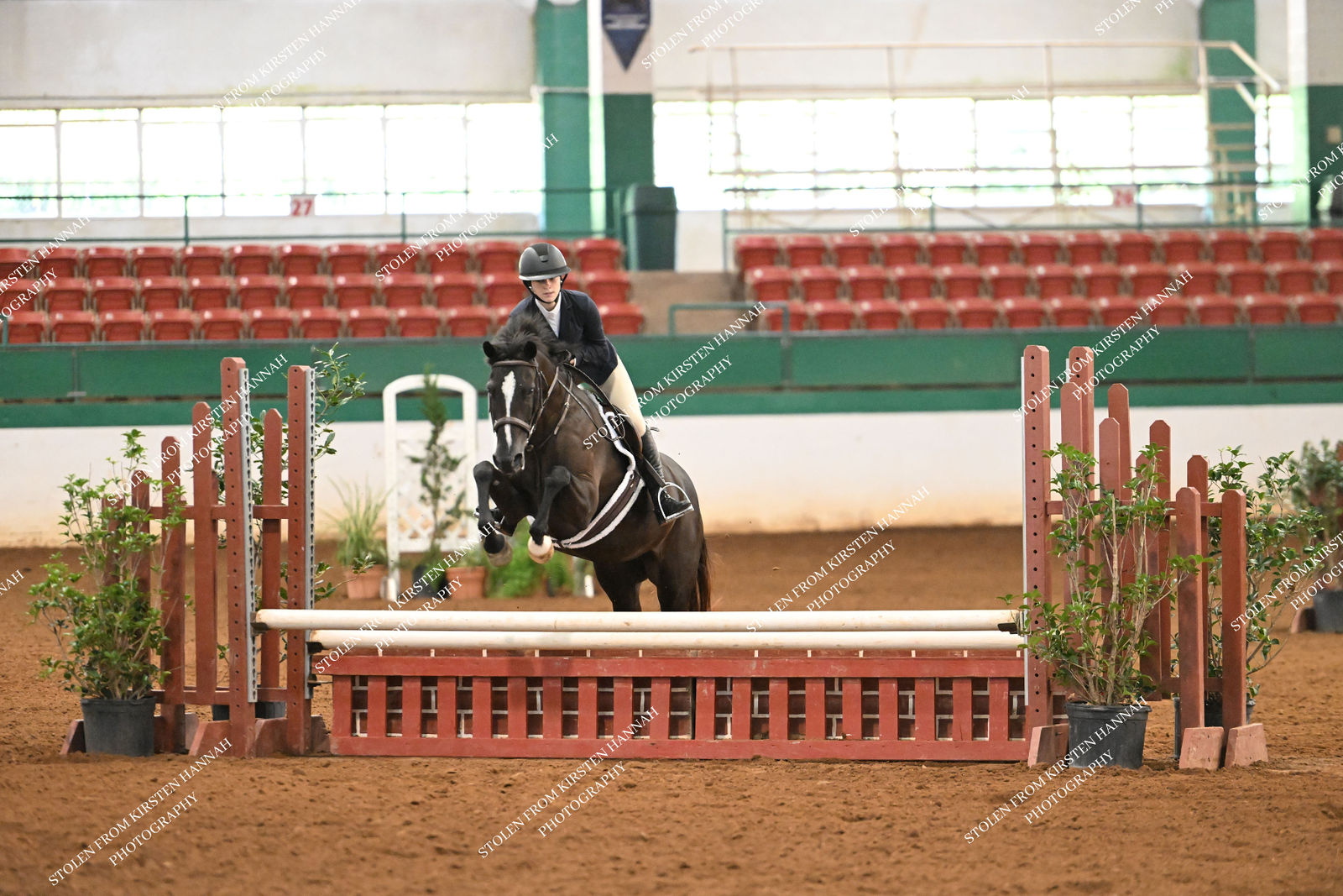 Triangle Farms Summer Indoors 1 by Kirsten Hannah Photography LLC