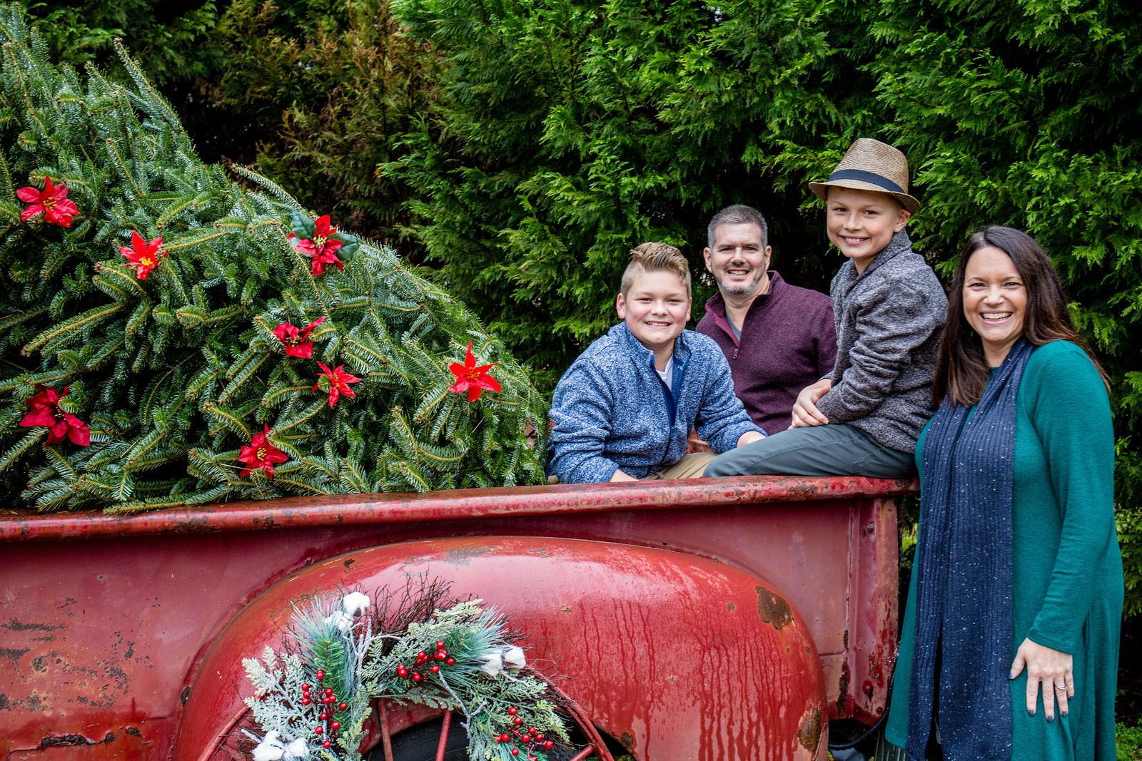 Watson Christmas Mini by Outgoing Portraits