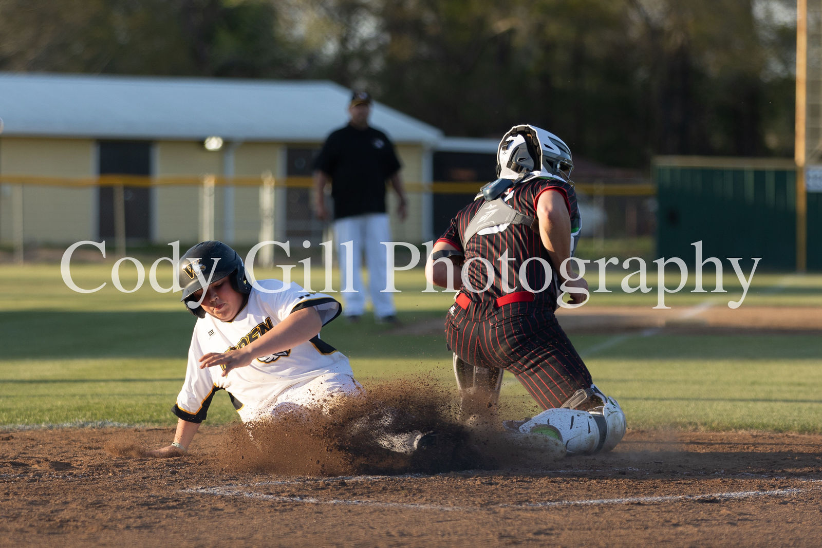 Woden Baseball by Cody Gill Photography