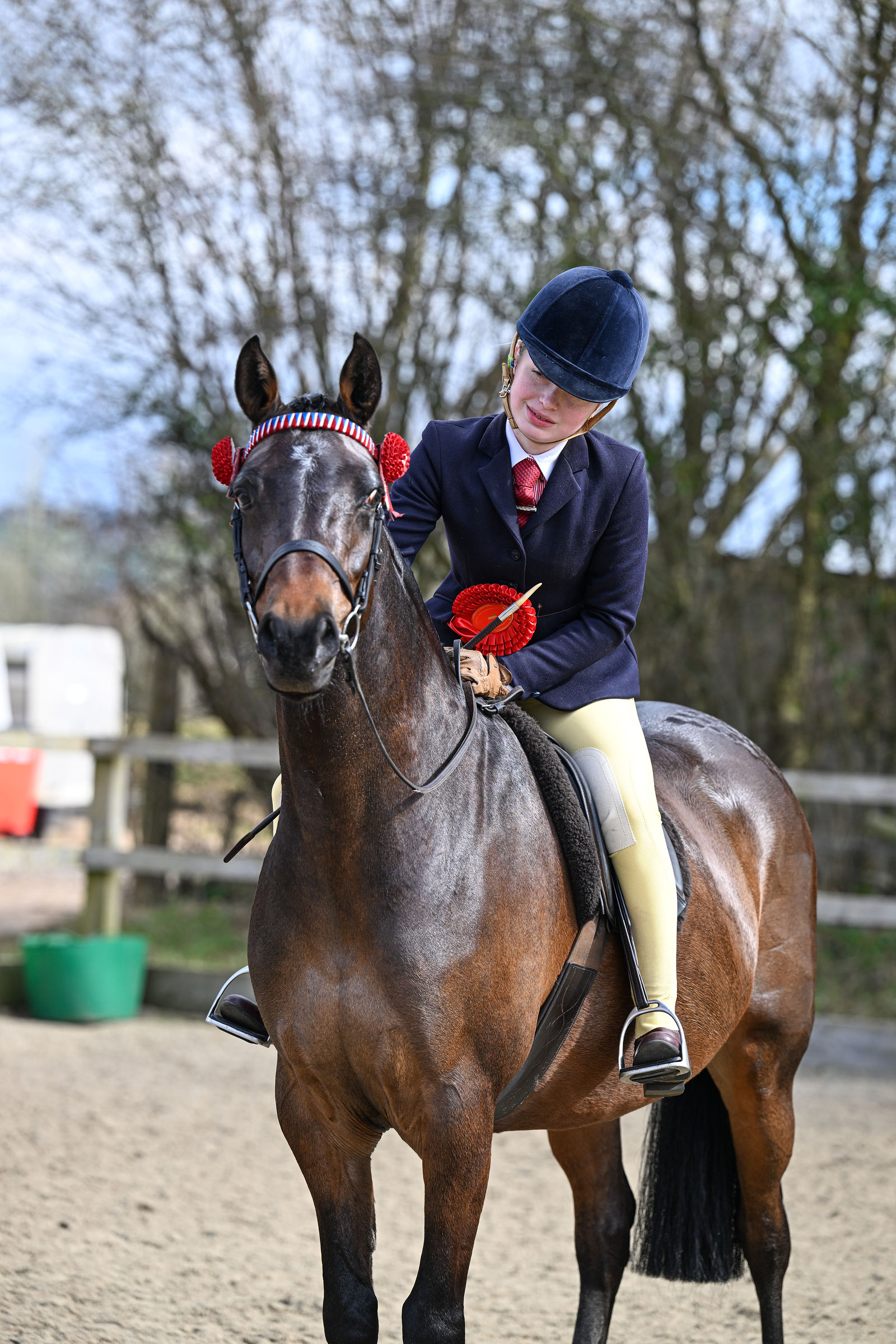 NPS Area 29 Show 2025 by EquinePix Photography