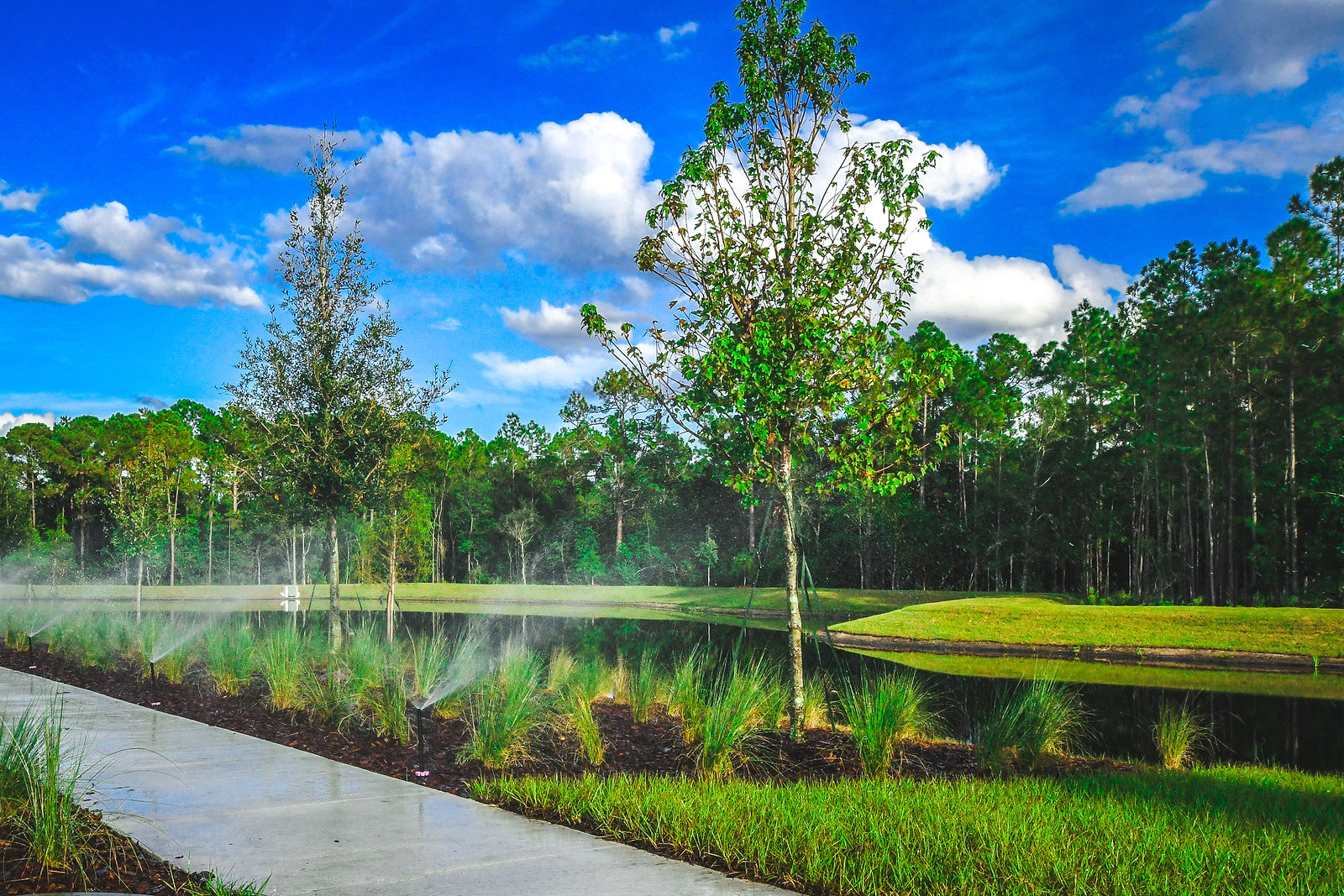Meadow Brook Acres by CMP Photography FL LLC
