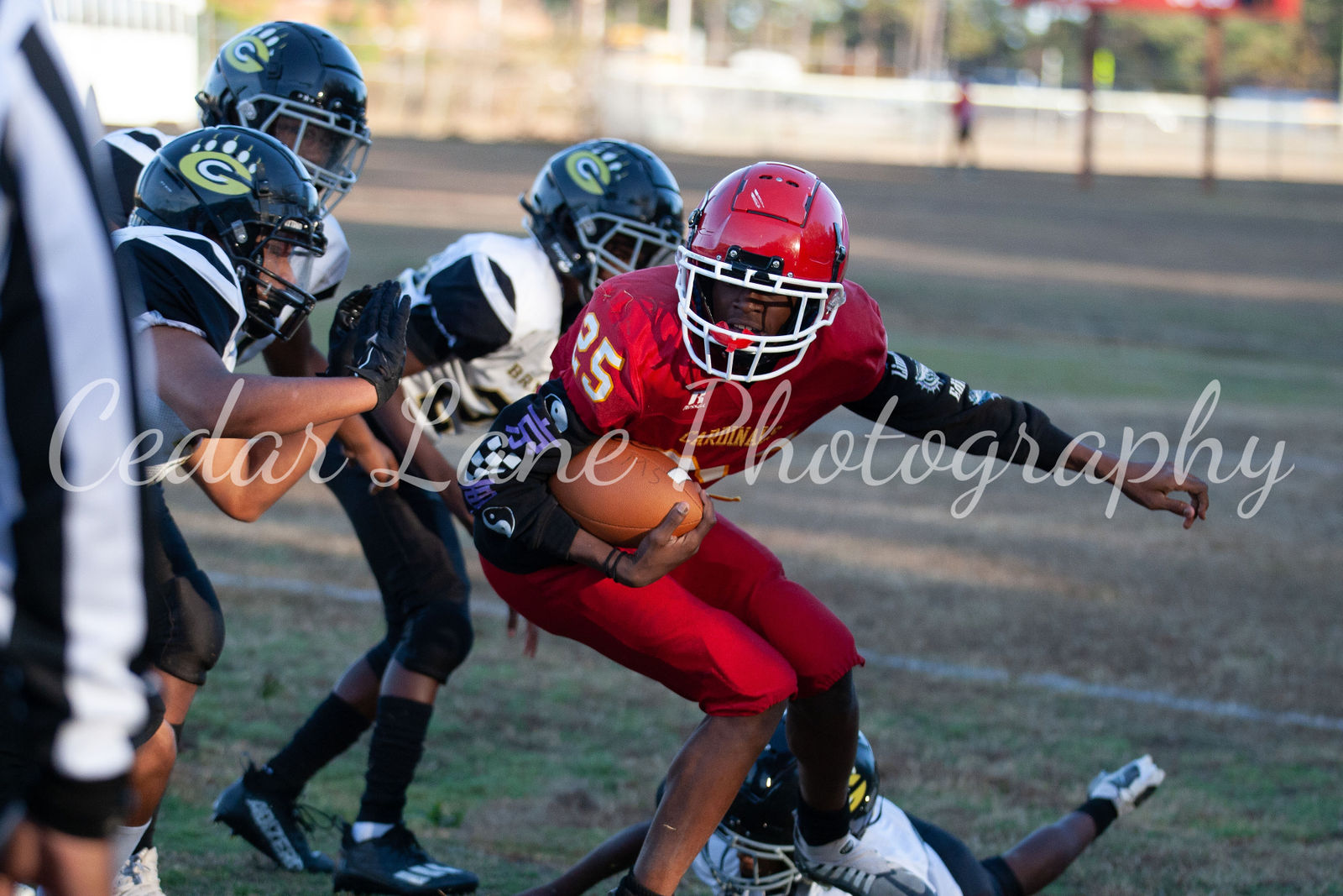 Lewis Cardinal (RAW IMAGES) by Cedar Lane Photography