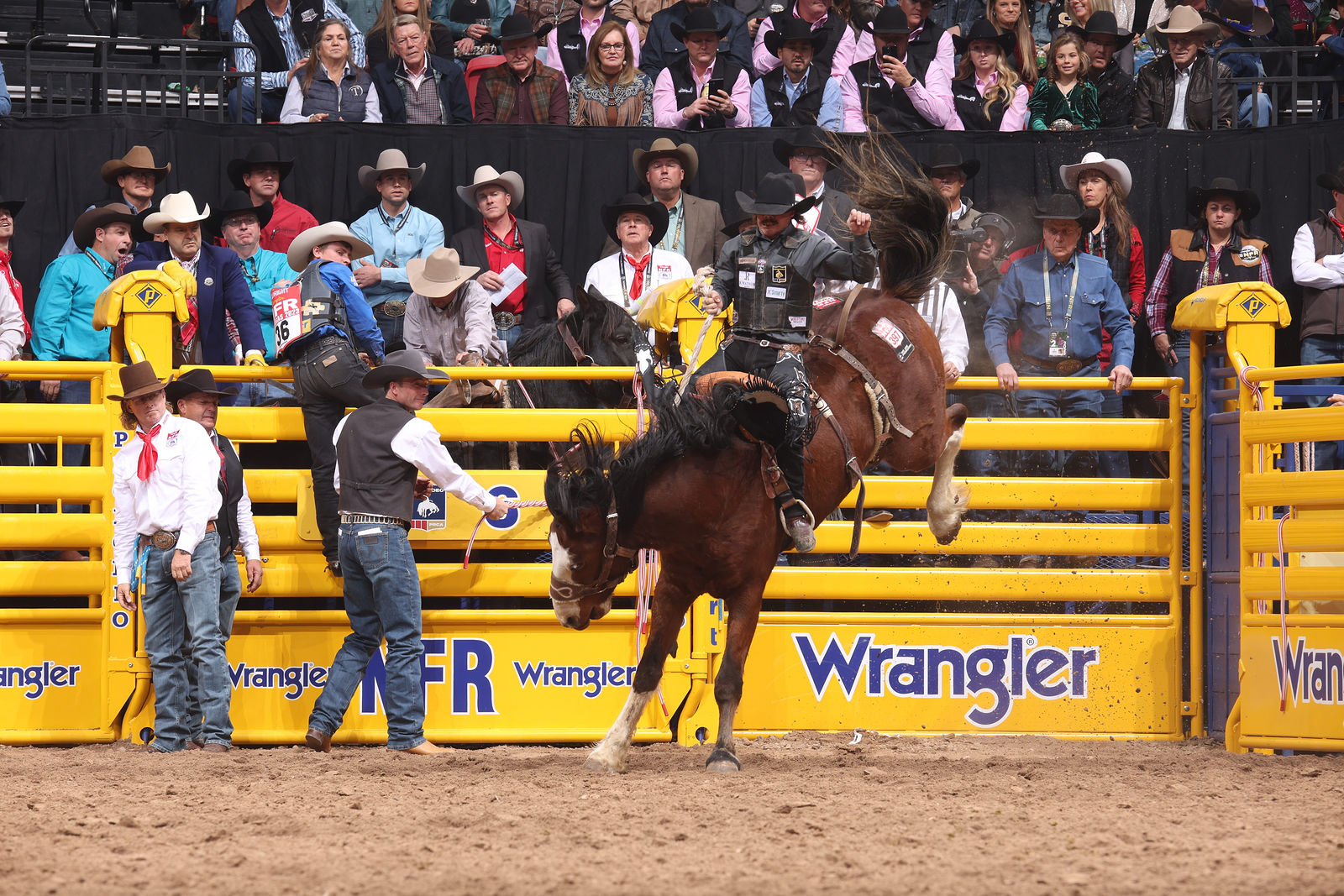 Summit Rodeo by Roseanna Sales Photography