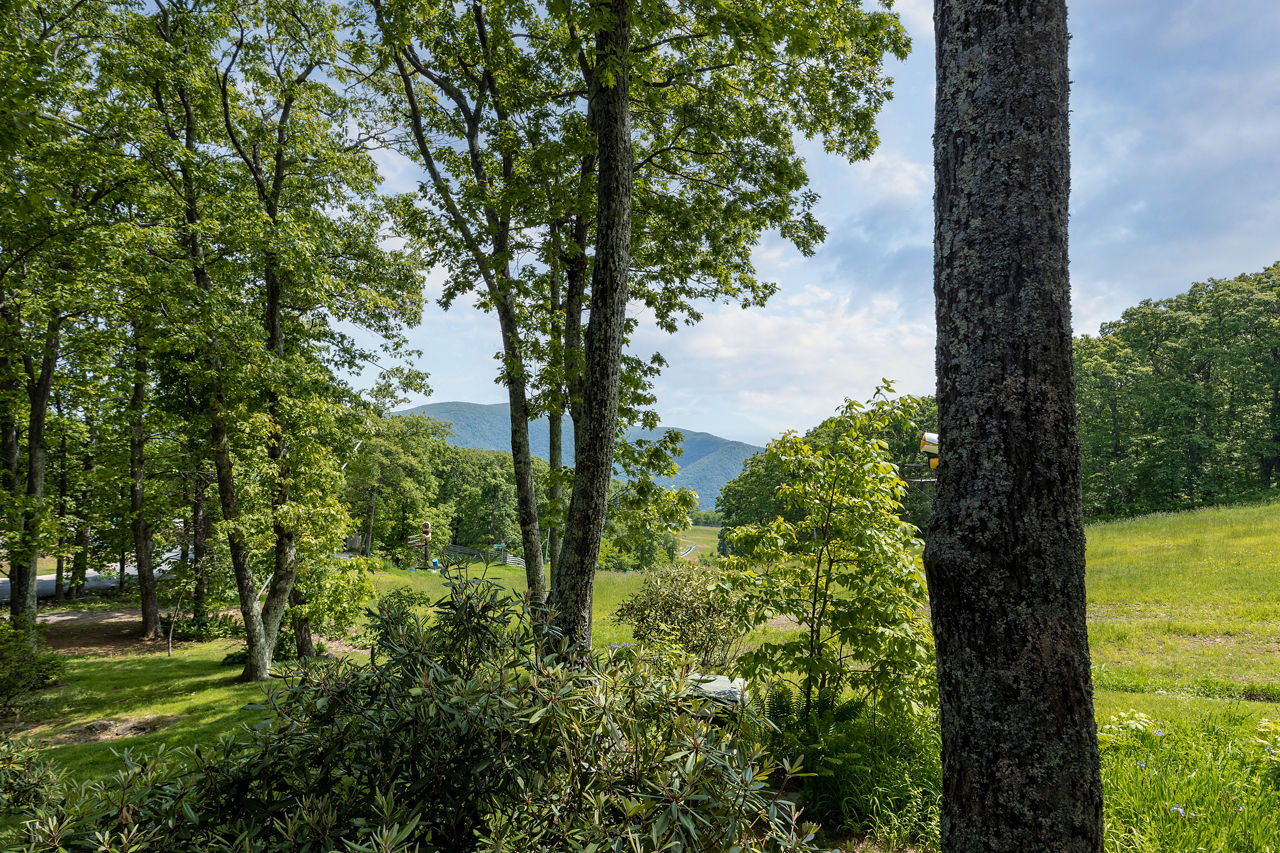 114 Eagles Ct by Ward Photography