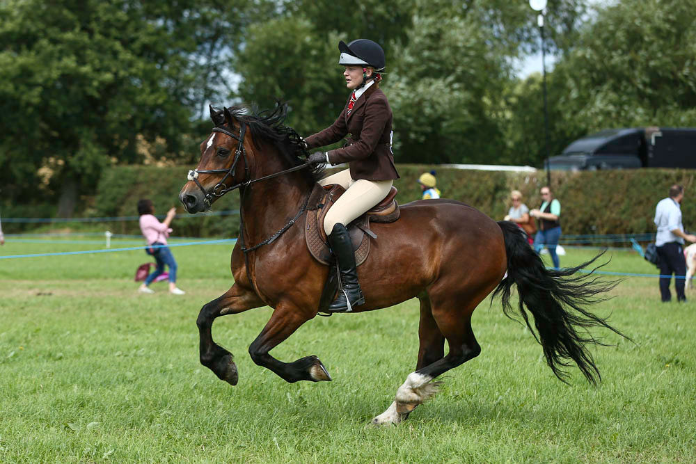 Minsterley Show 2023 by EquinePix Photography