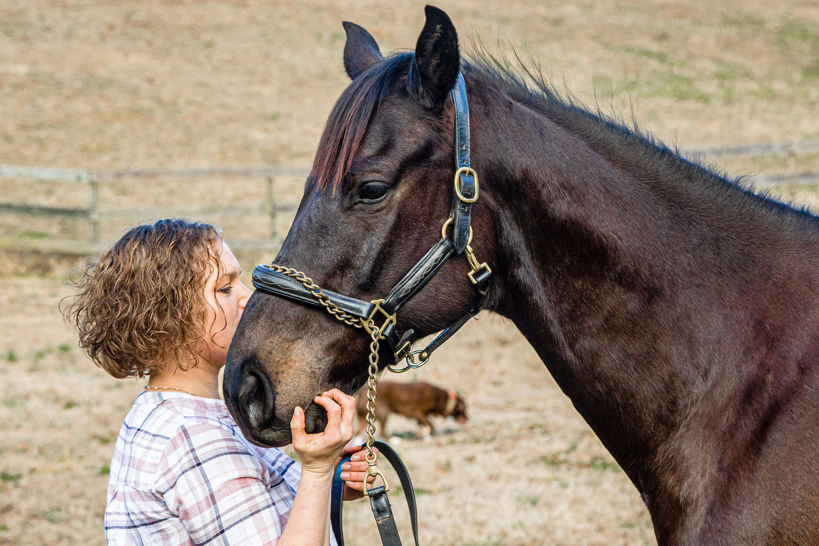 Print Store - Mark Jump Photography