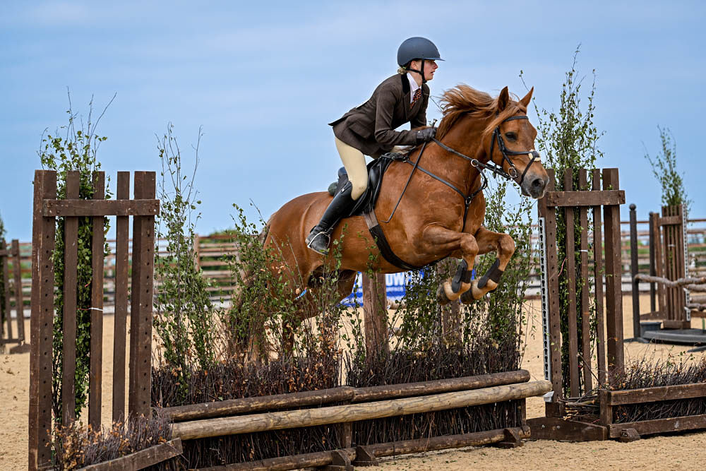 NPS Area 12 WHP Festival 2023 by EquinePix Photography