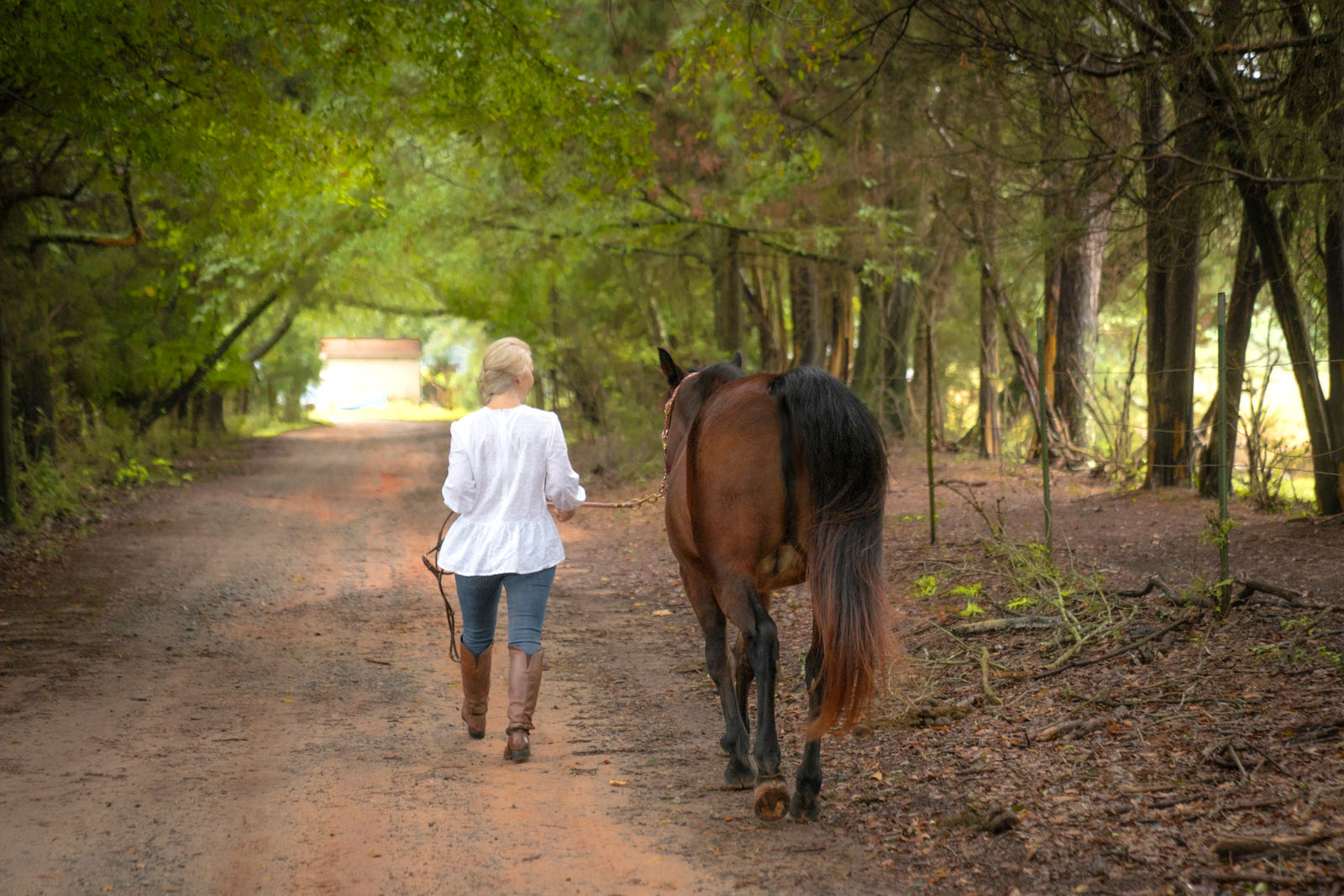 Dibble by Portrait Creations