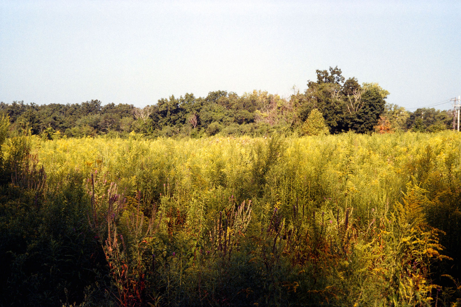 Taylor Weber by Thirty Nine Photo Shop