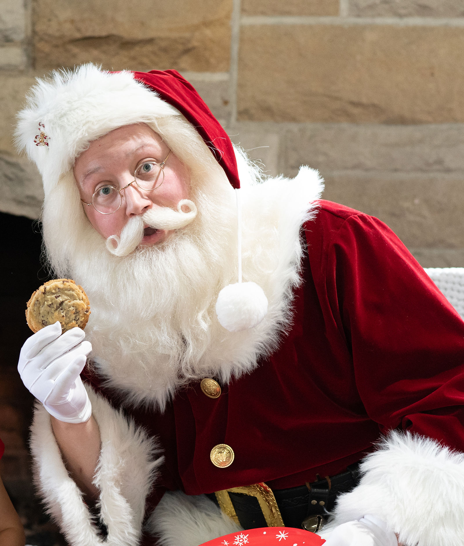 Santa Luke by Shiny Penny Studios