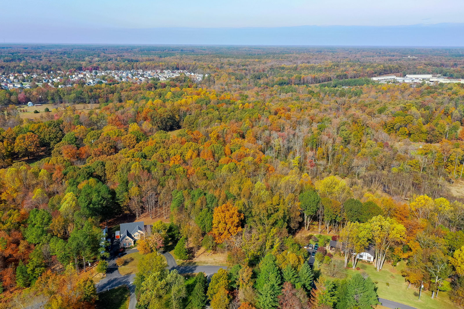 Brookhollow Lot by ...