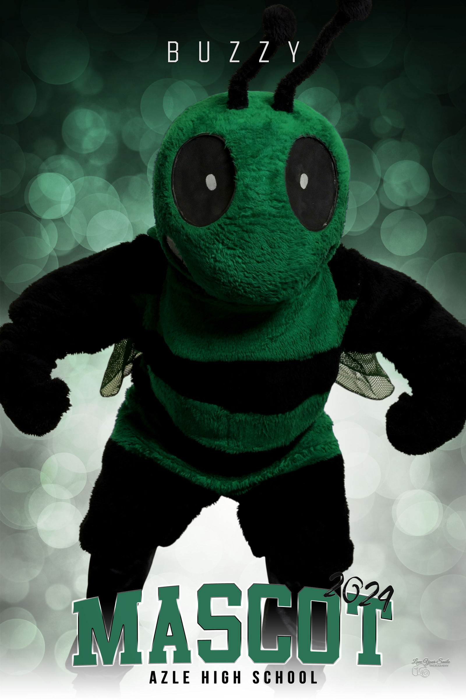 AHS Cheer Banners by Love Your Smile Photography