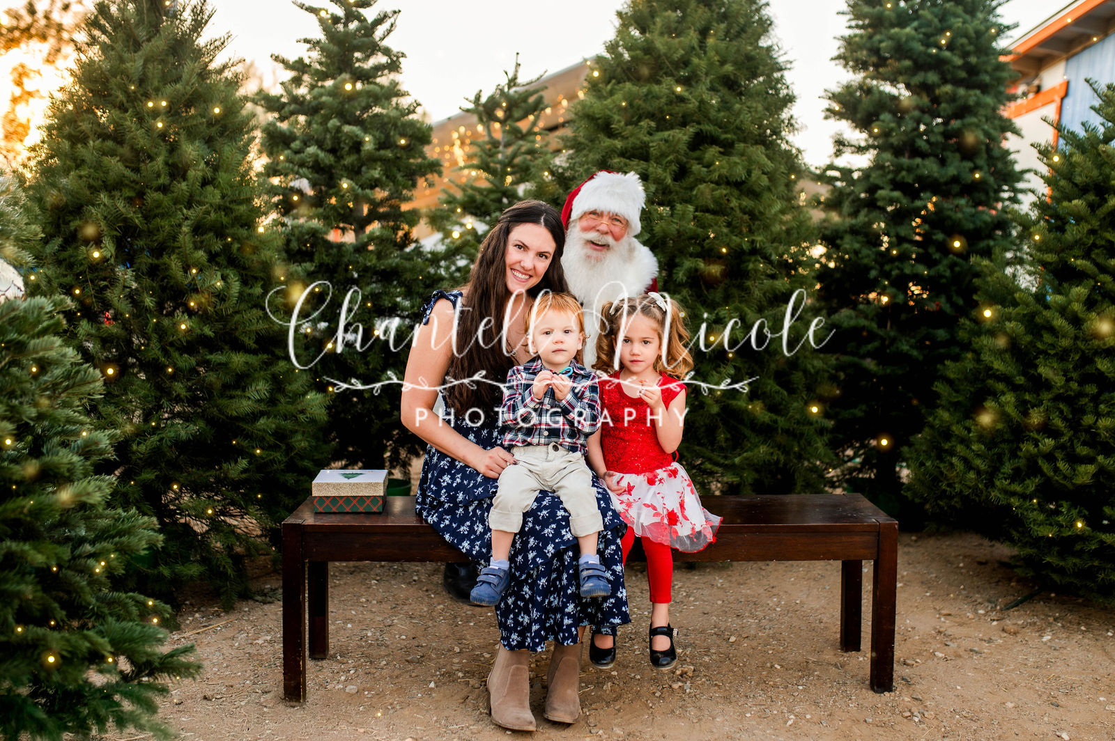 Santa Mini Session by Chantell Nicole Photography