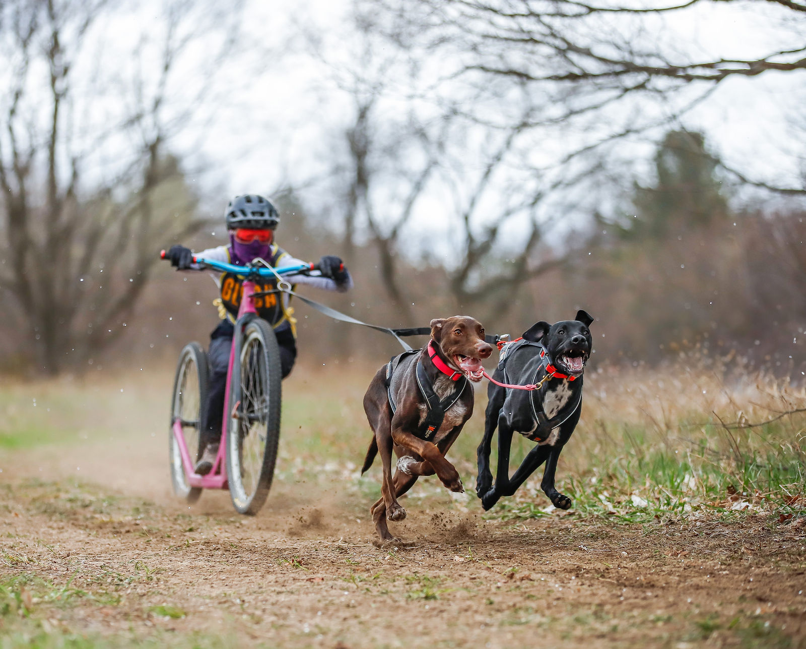 Events - Wander into Focus