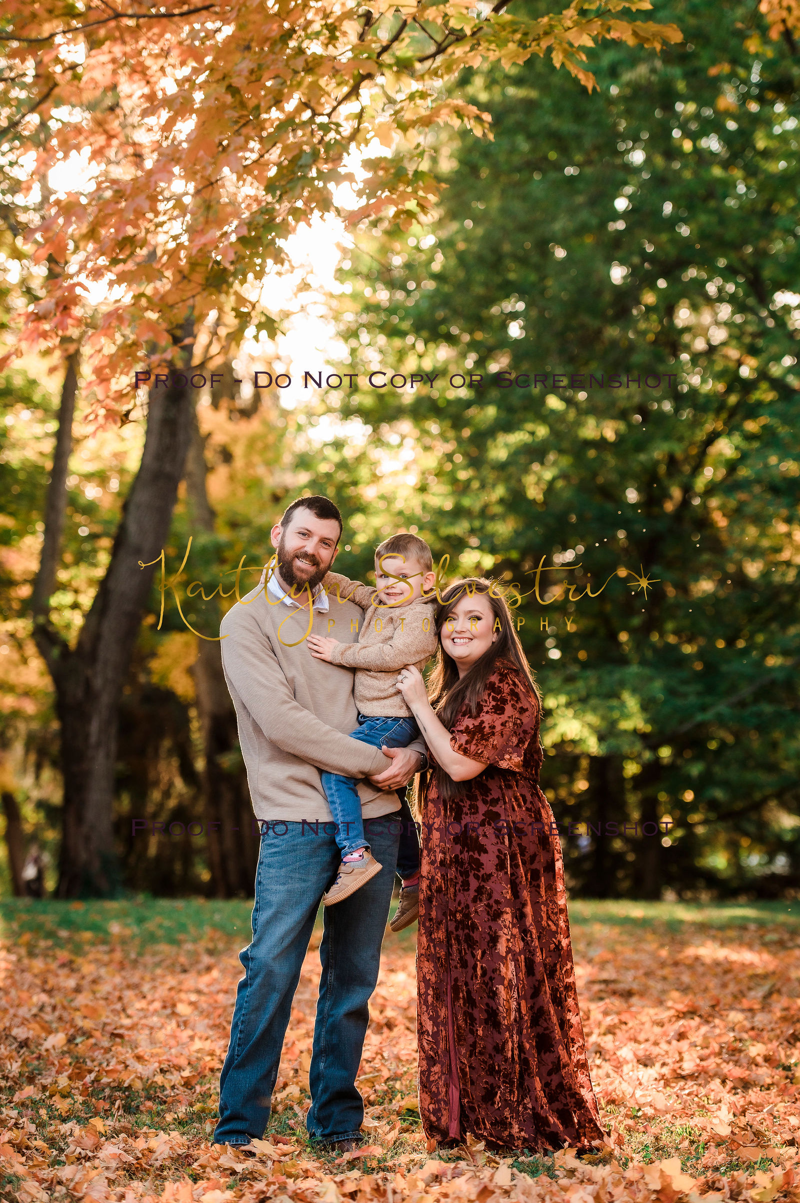 Brown | Fall Color | 2022 by Kaitlyn Silvestri Photography