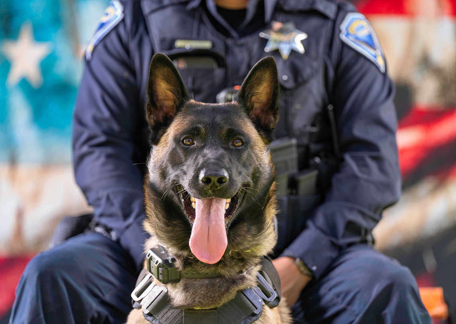 K9 Graduation by Land Shark Photography