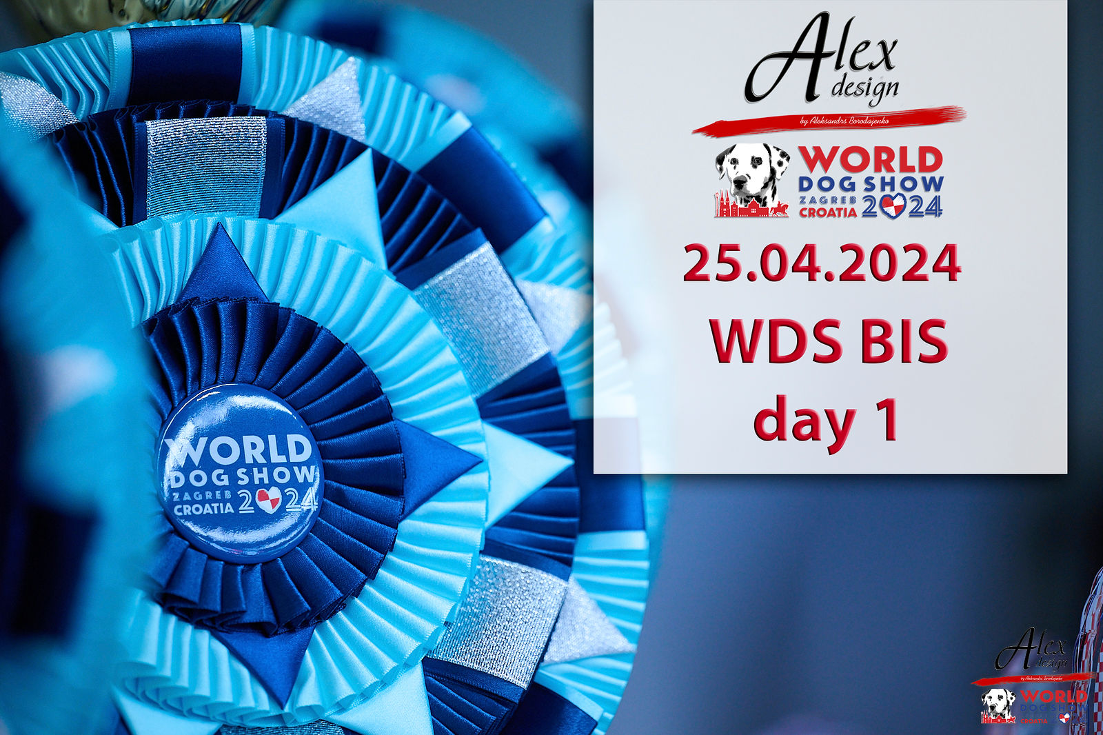 2024-04-25 WDS BIS day1 by SIA AXD Group