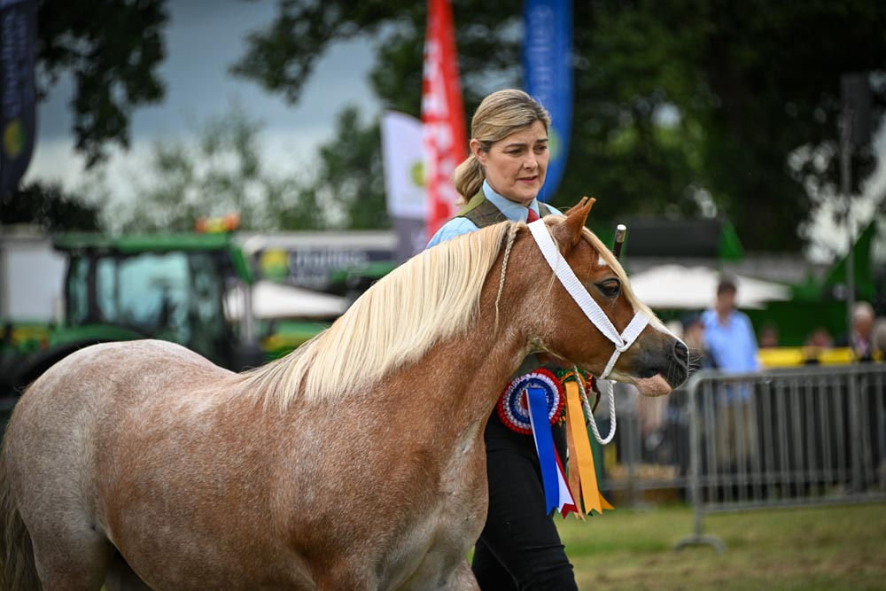 Minsterley Show 2024 by EquinePix Photography