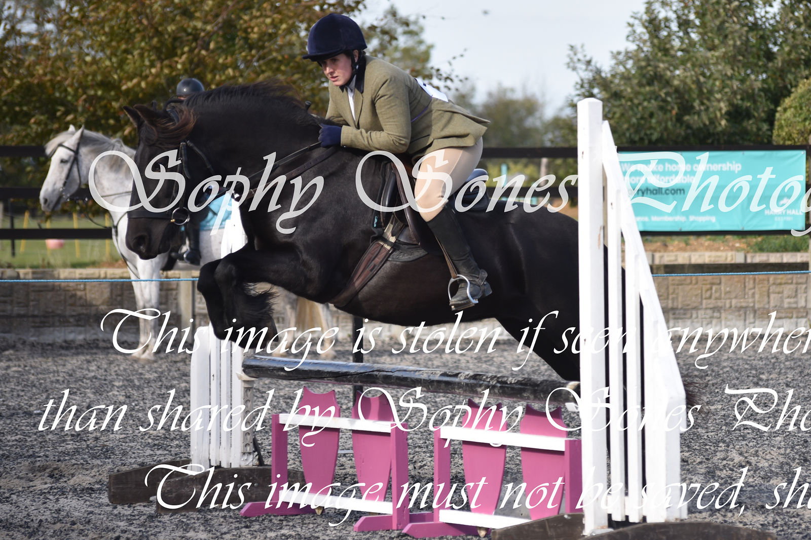Show Jumping Championships at Grey Fern Park by Sophy Sones Photography