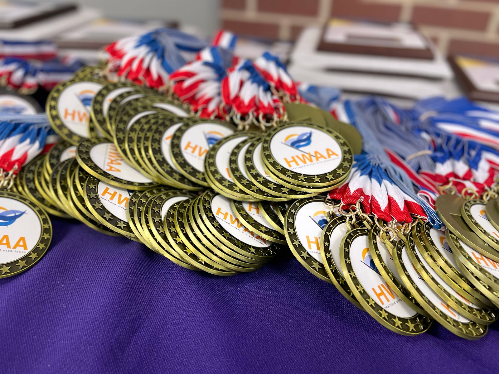 HWAA CHAMPIONSHIP 2024 by Photography by Wilson