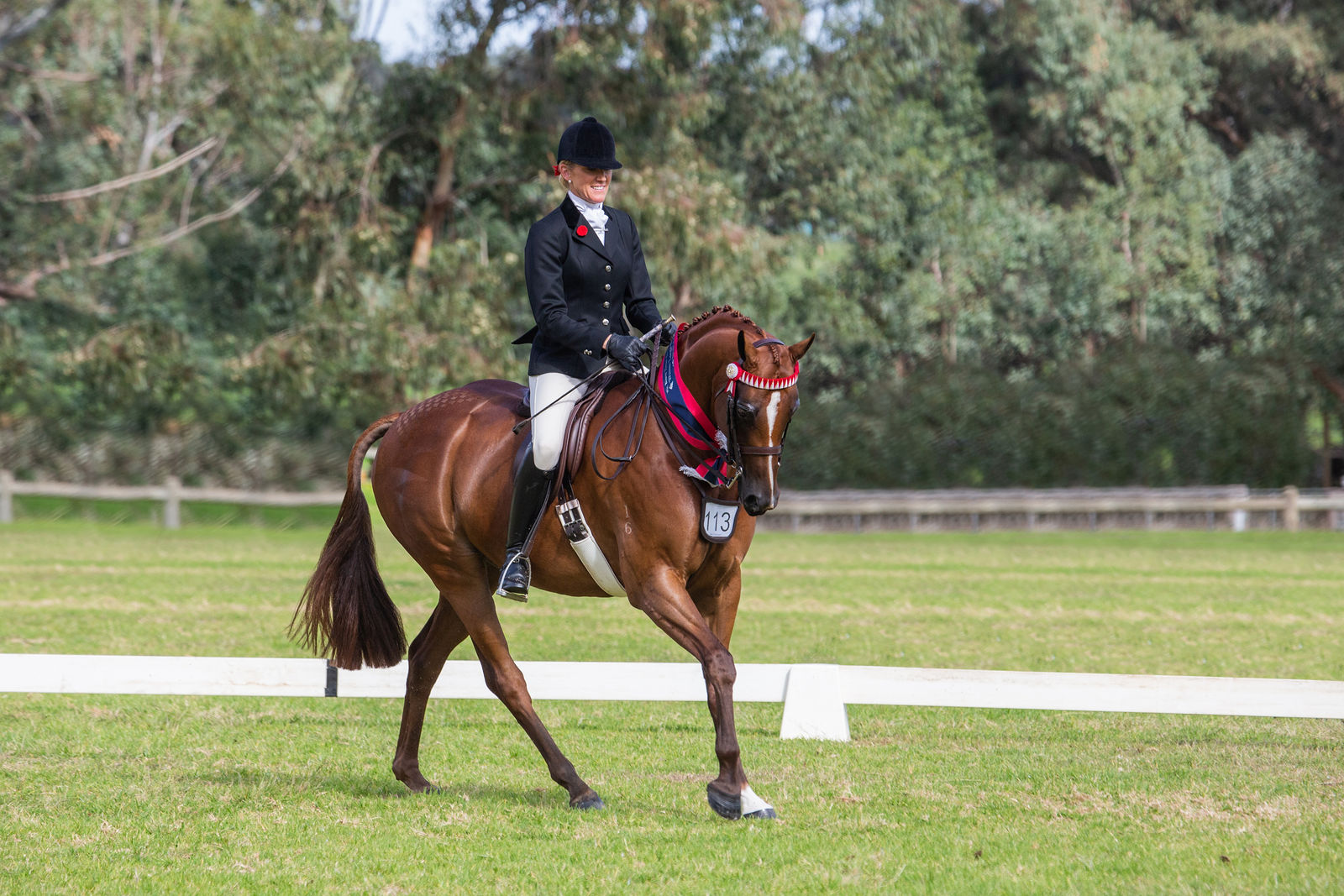 SHCWA - WESTERN STARS PROOF GALLERY by Christie Lyn Photography
