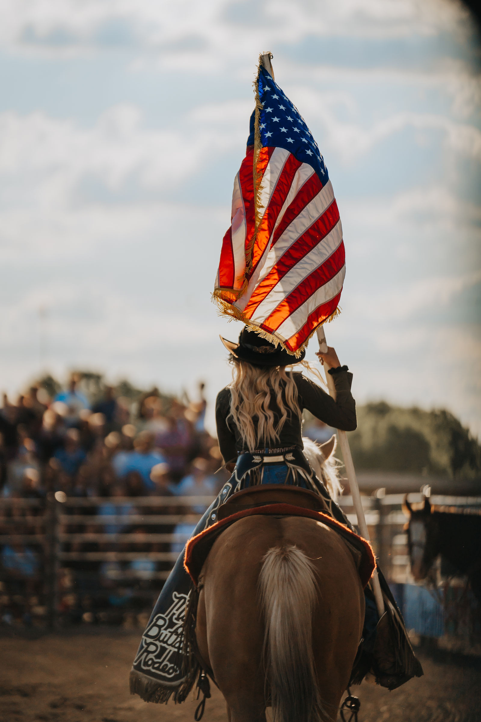 Buffalo Rodeo Royalty by The Rafter JM