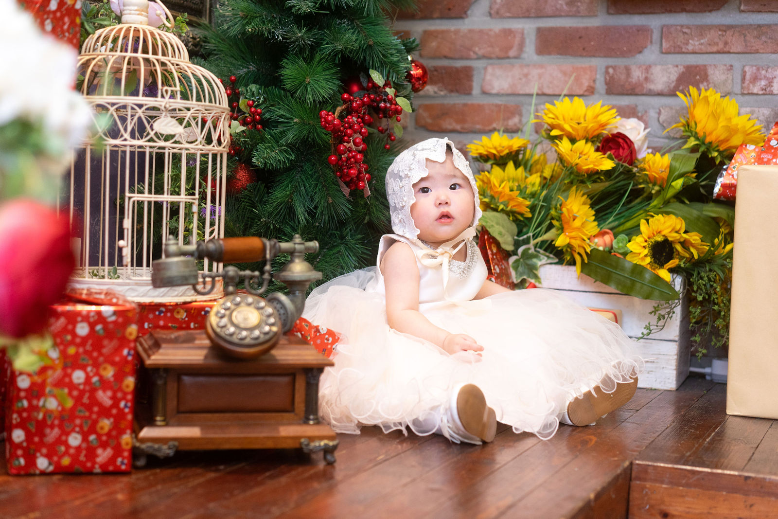 김미르 by Mango Studio