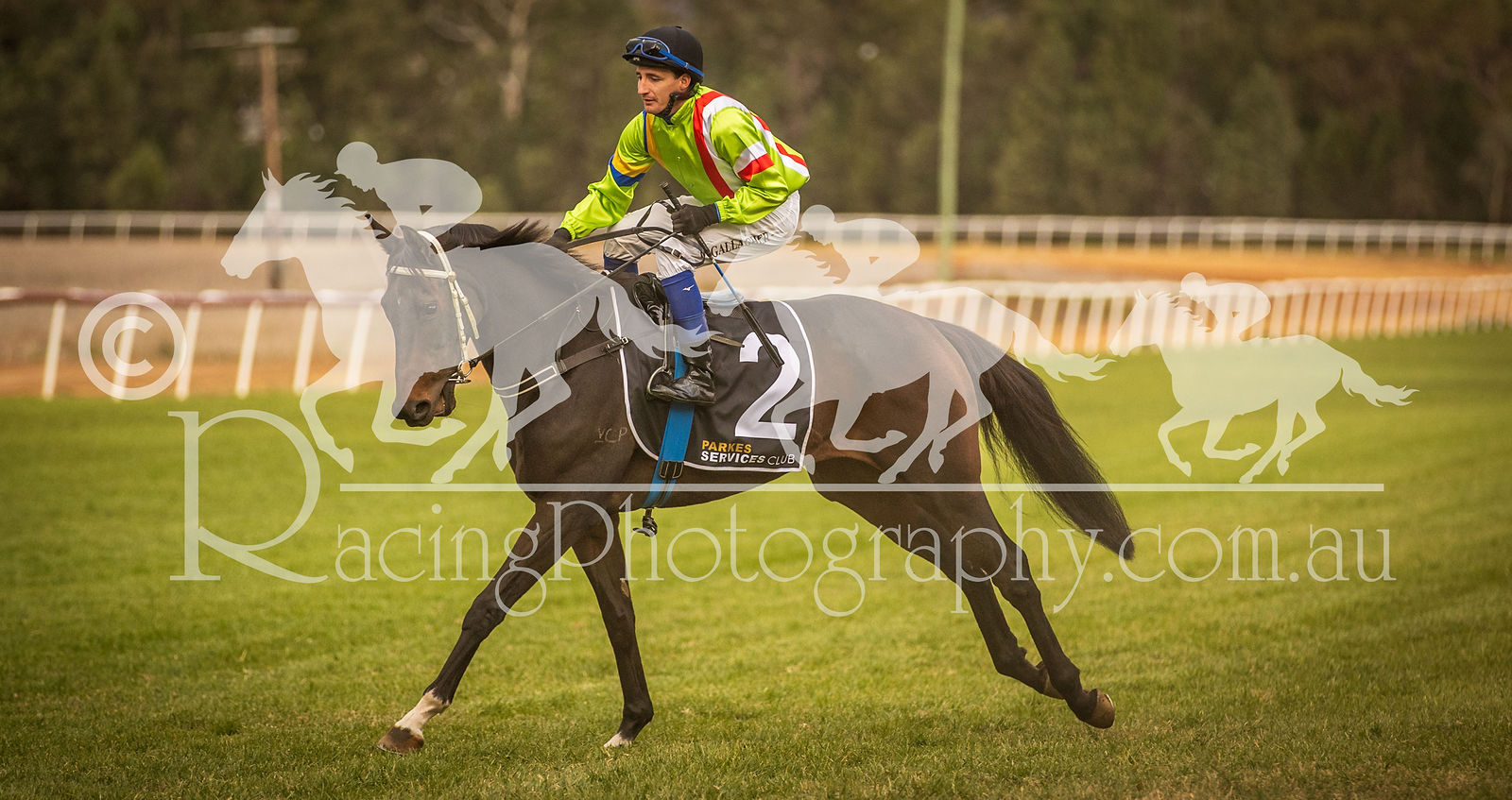 Xtra Pics - Just A Brother, Clayton Gallagher / Terry Croft by ...