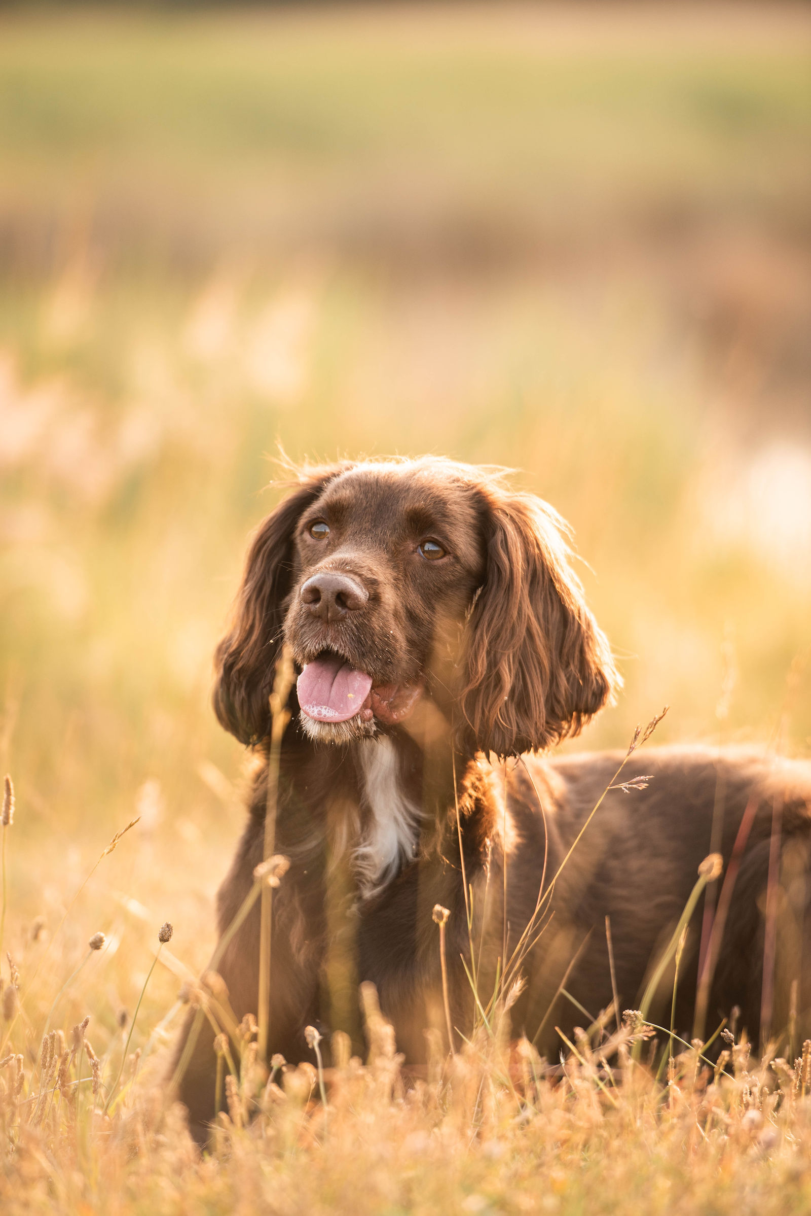 Home - Olivia Rose Photography