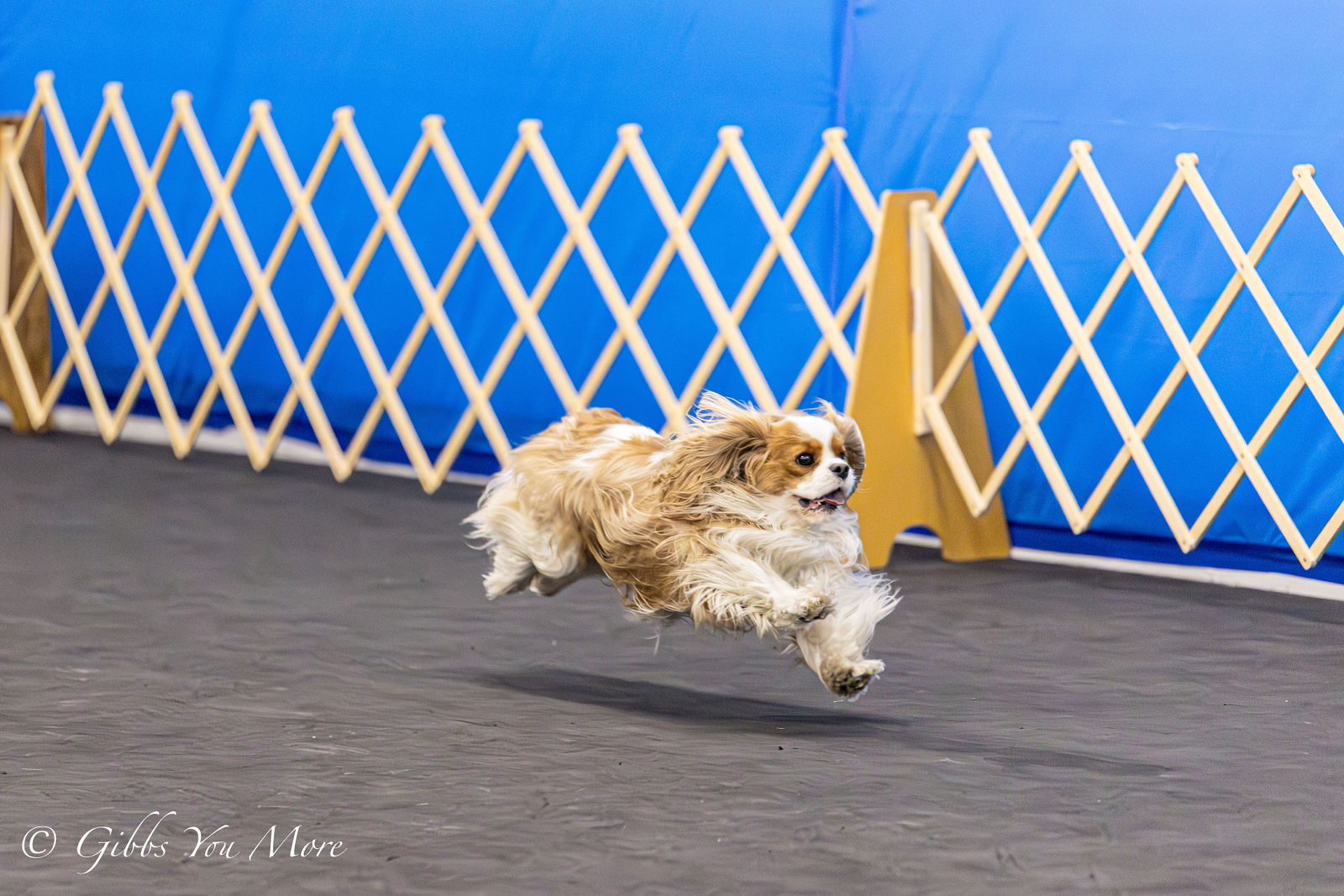 Beth Lassiter by Gibbs You More Photography