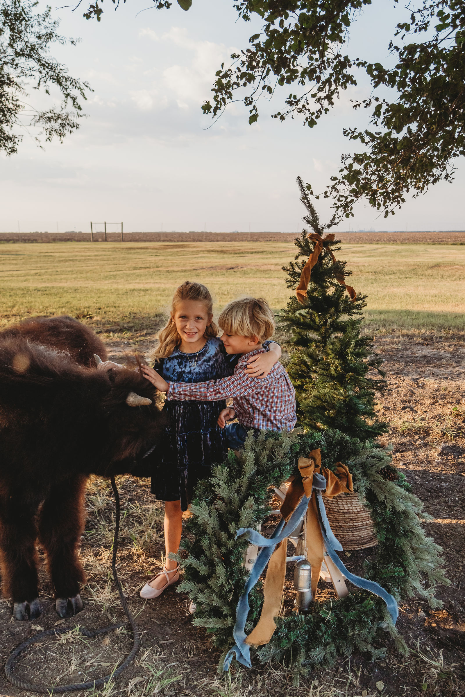 Smith | Cow Holiday 2024 by Jennifer Stewart Photography