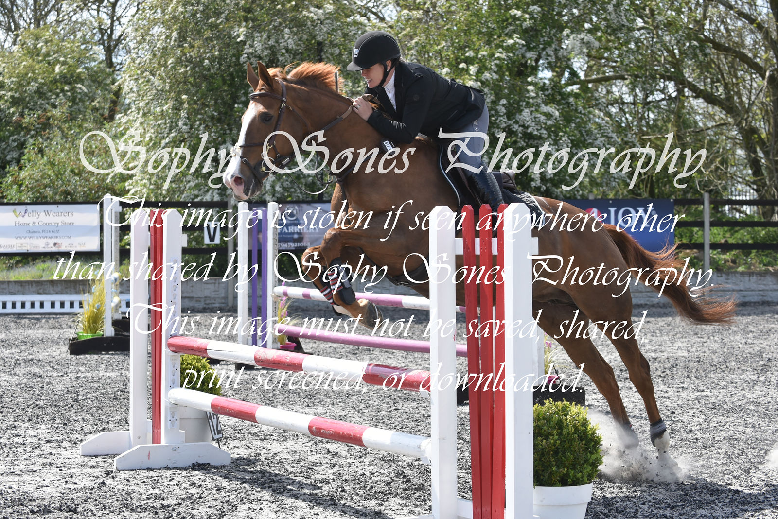 Show Jumping at Grey Fern Park by Sophy Sones Photography
