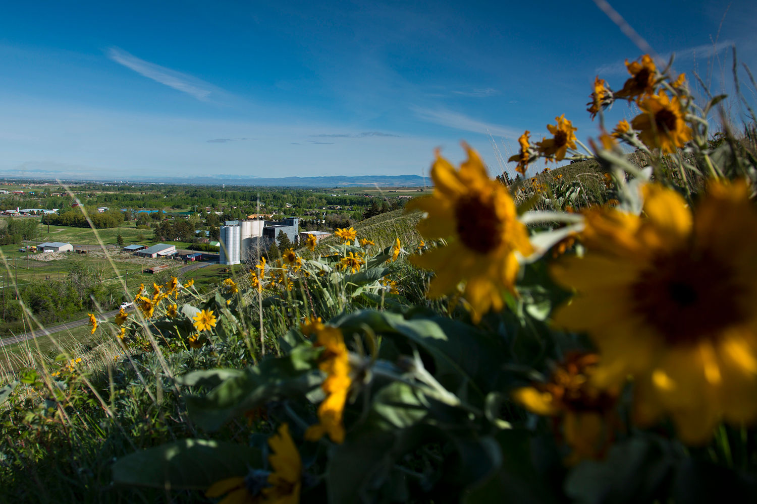 STORY HILLS MAY 2017 by Craig Hergert Studios • Montana Panoramic Co.