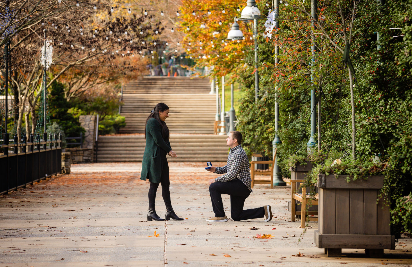 Troy & Alexandra - NC Arboretum Proposal by Forge Mountain Photography