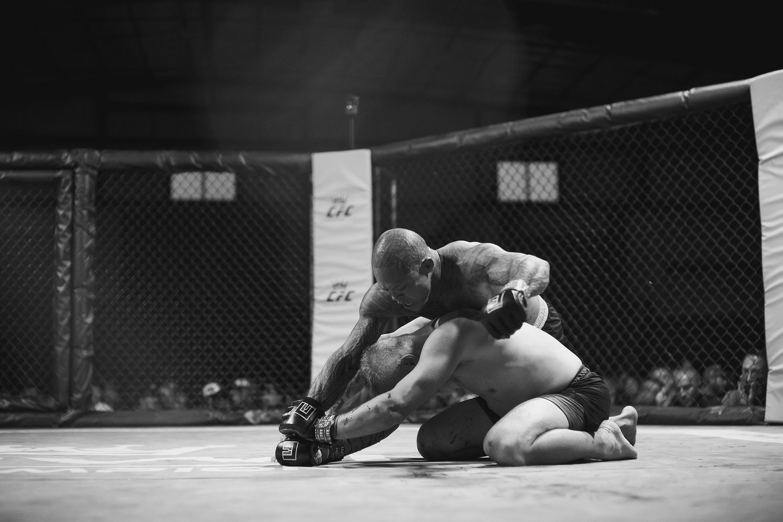 CFC August 2025 by TODD ELLIS PHOTOGRAPHY