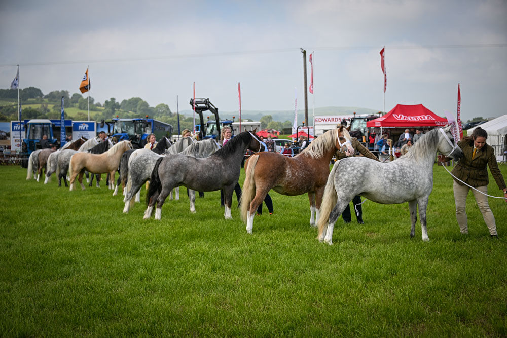 Llanfair Caereinion Show 2024 by EquinePix Photography
