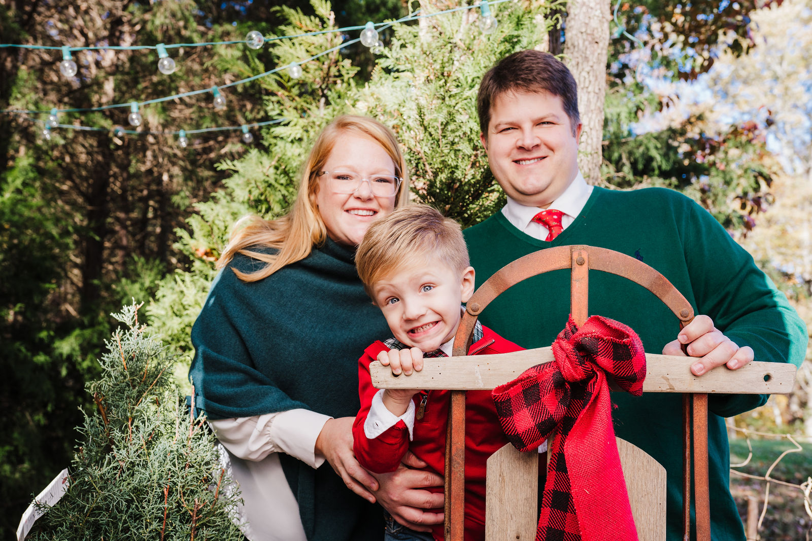 Courtney Sherman - Trim a Tree by Freeman & Co. Photography