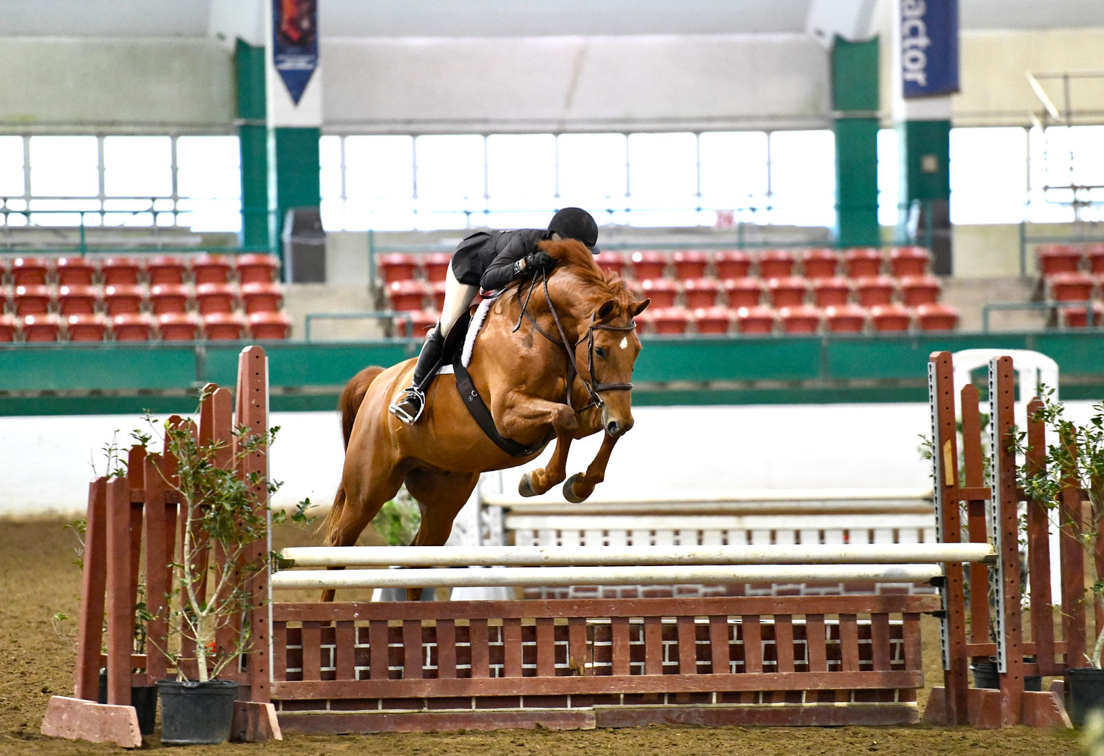 Triangle Farms Spring Indoors 1 “C” by Kirsten Hannah Photography LLC